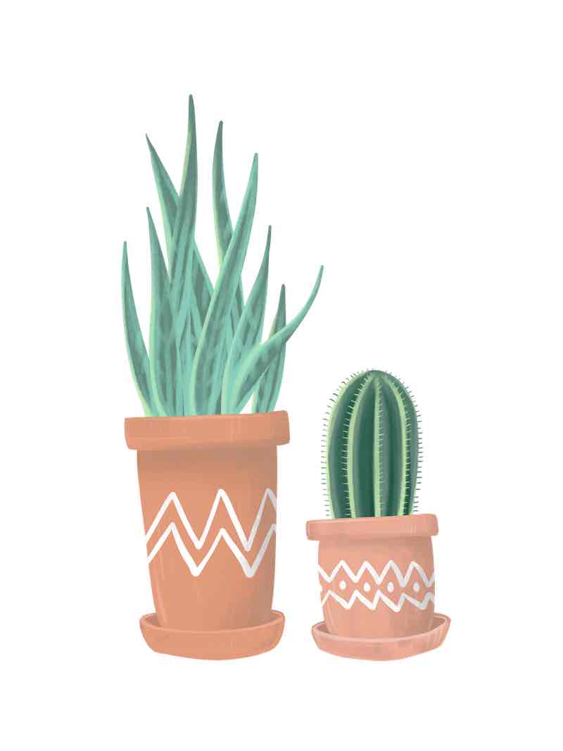 Illustration - Rita Stern